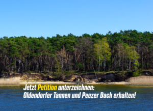 Peezer Bach und Rostocker Moorgebiete retten. Jetzt Petition ...